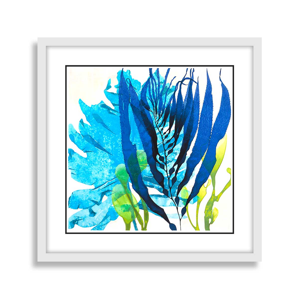 Sea Nature – Framer