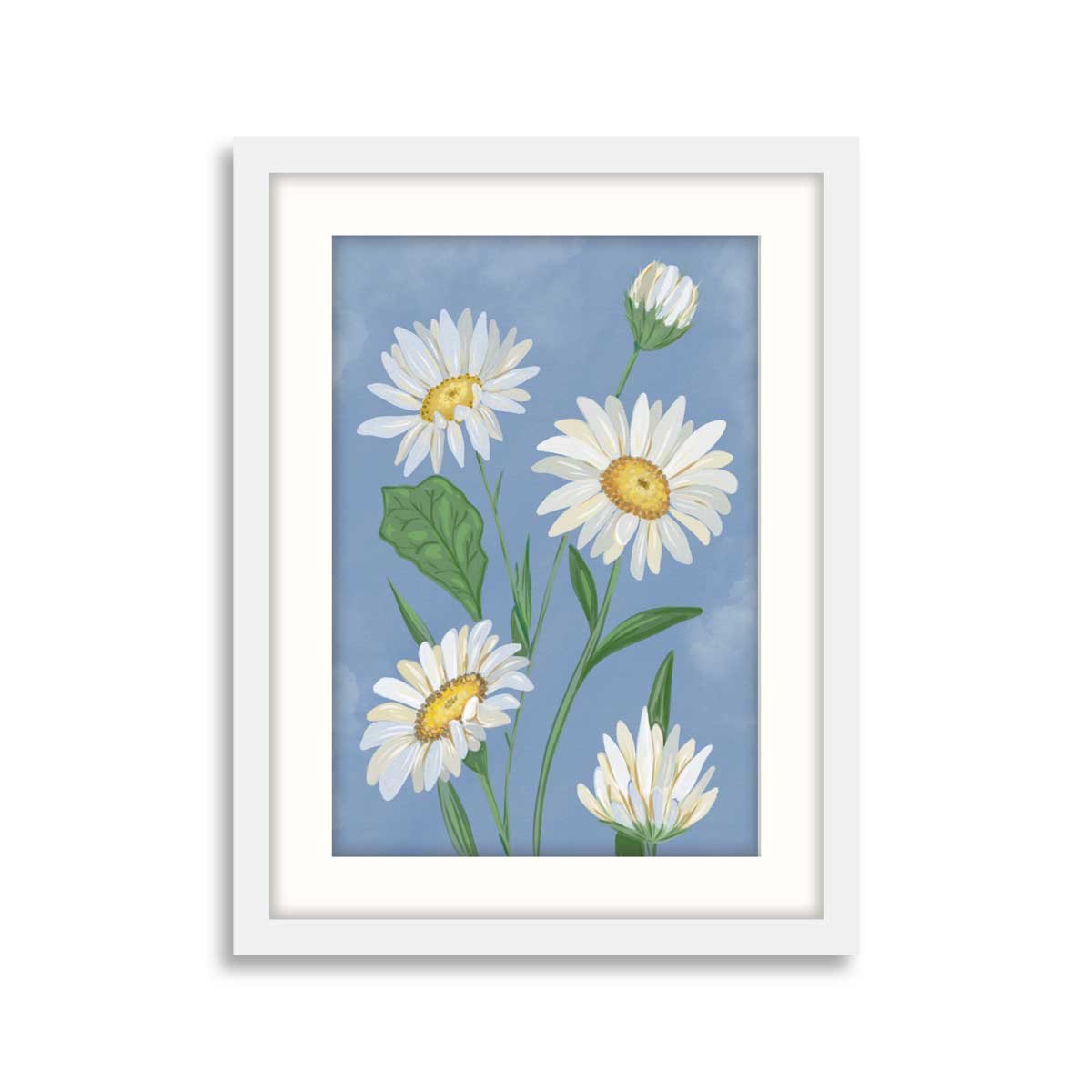 Daisy flower wiht blue background – Framer