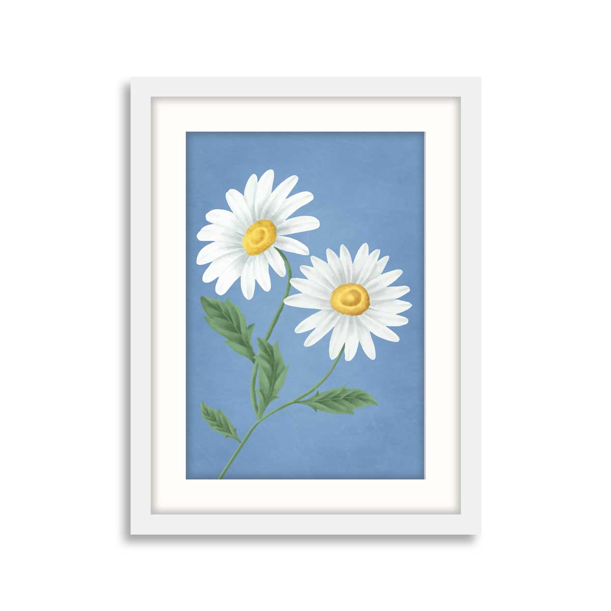 Daisy flower wiht blue background – Framer