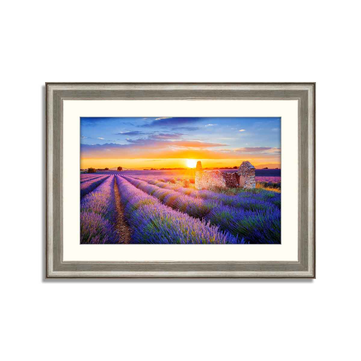 Beautiful-Nature- 02 – Framer