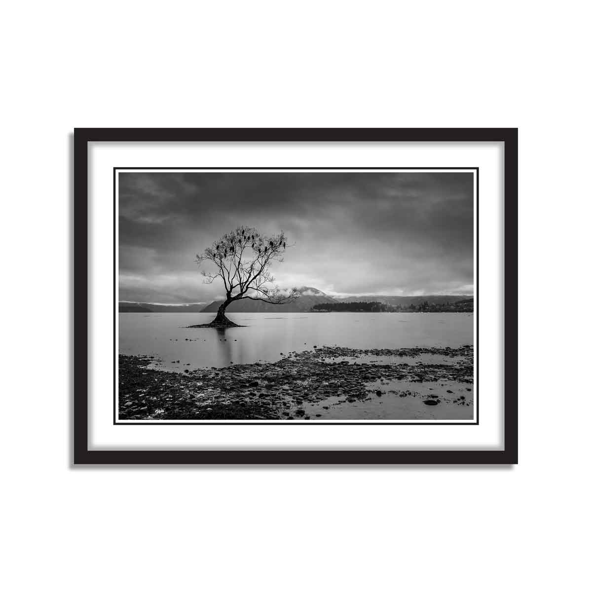 Beautiful Nature Wall – Framer
