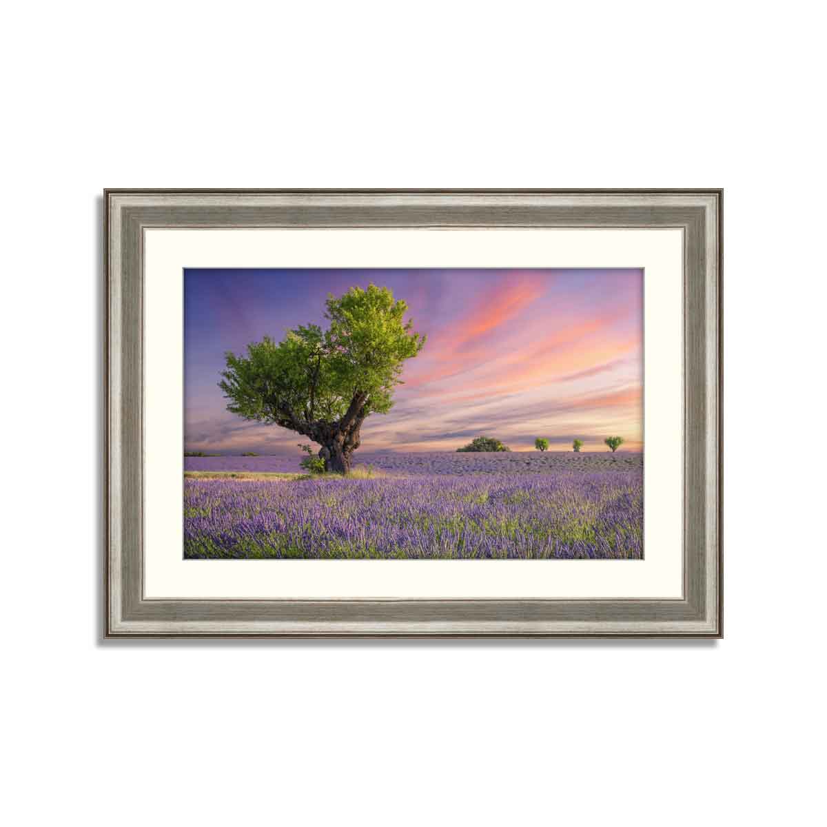 Beautiful-Nature- 02 – Framer