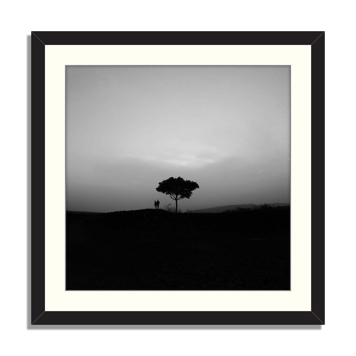 Set of 3 Beautiful Nature Wall Frame – Framer