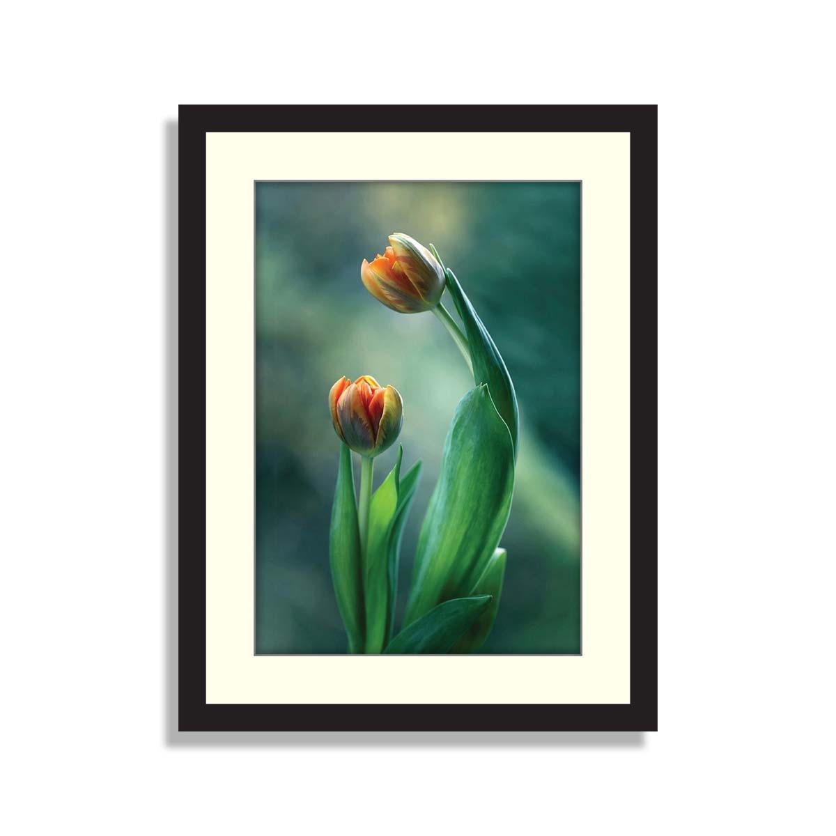 Set of 6 Floral Framed Art | Floral Framed Wall Art - Framed Art – Framer