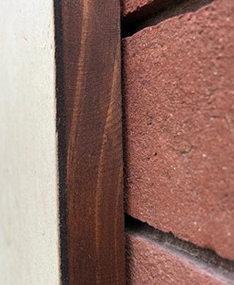 X-Raay of a mouth, with intact wisdom teeth – Framer