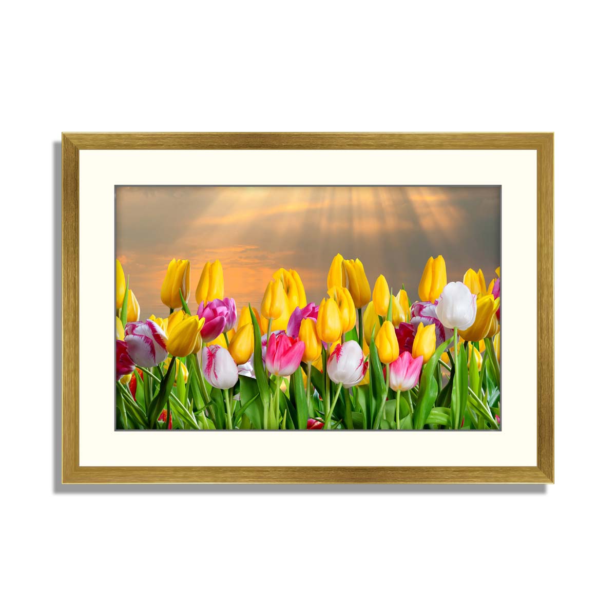 Set of 6 Floral Framed Art | Floral Framed Wall Art - Framed Art – Framer