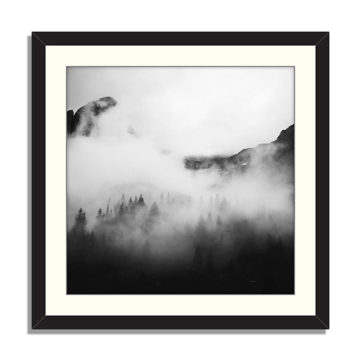 Set of 3 Beautiful Nature Wall Frame – Framer