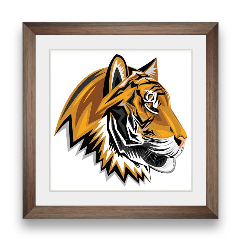wildcat tiger – Framer
