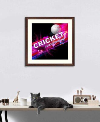 Cricket Ball Frame | Framed Cricket Bat Ball - Framer.Pk