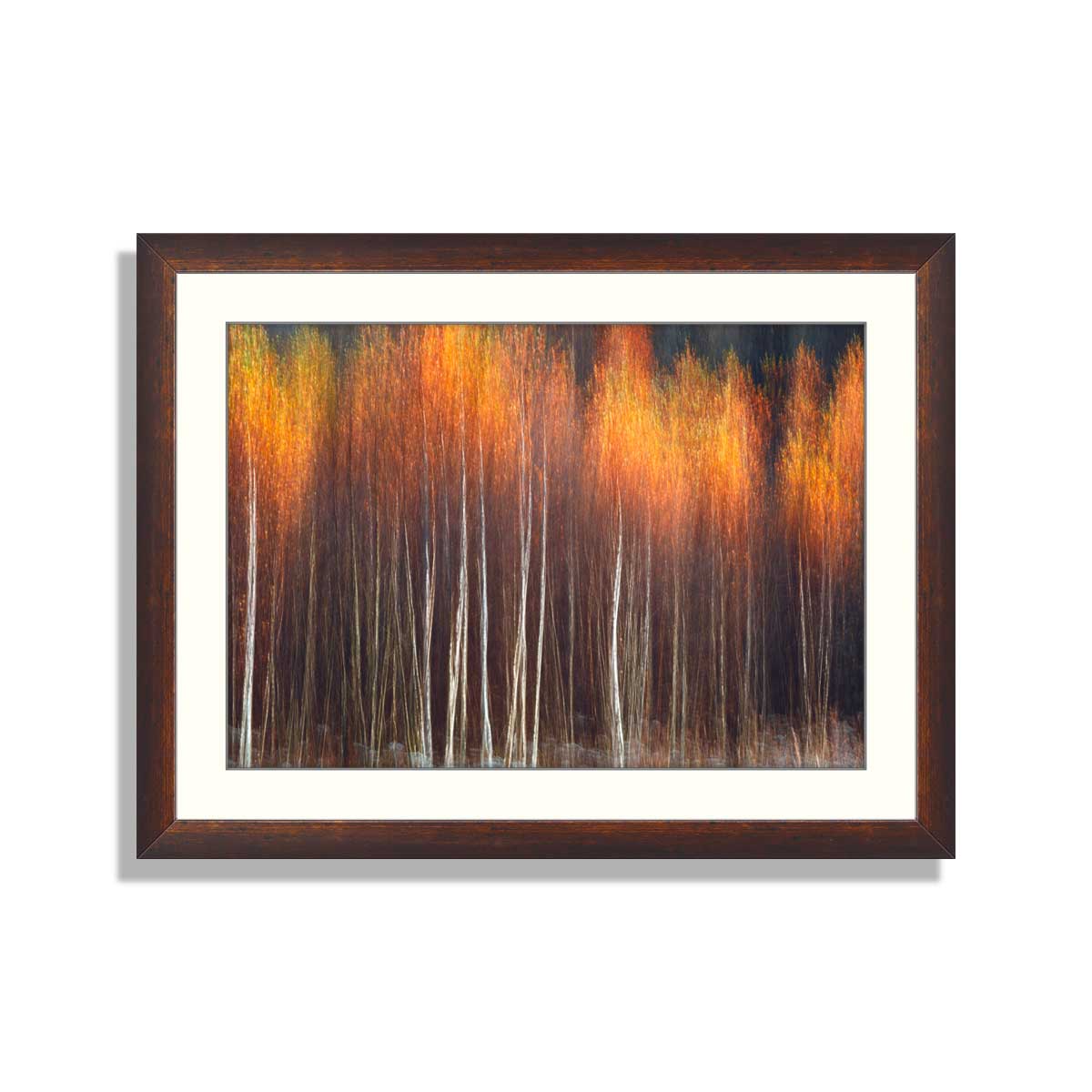 Autumnal Textural Scenic Background Frame | Framer.pk