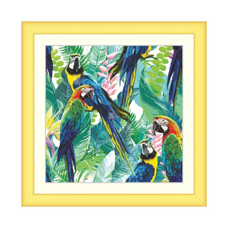 Colorful Parrot – Framer