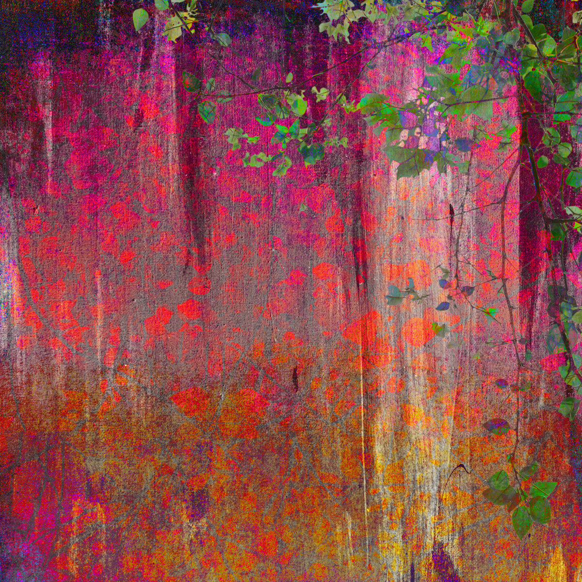 Leaves & tree painting with black frame – Framer